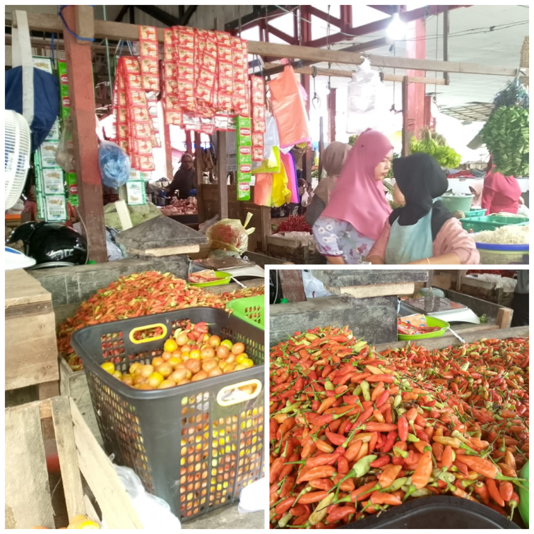 Pasca Lebaran Harga Cabai Rawit Berada Tembus Rp 110.000 Per kilogram – Suarakahayannews.com